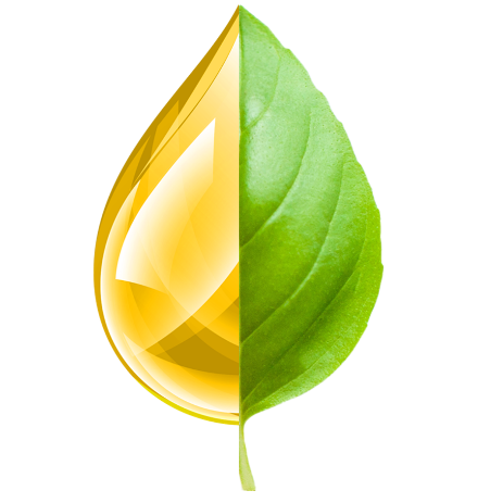 The ROWE brand | ROWE